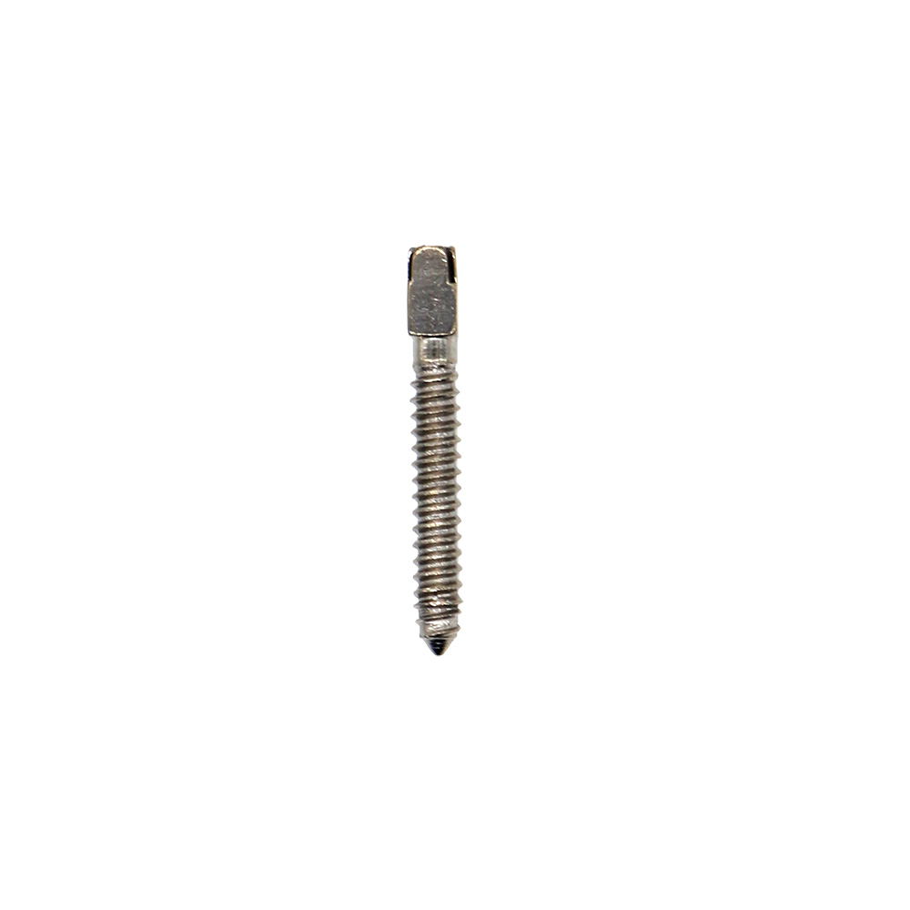 1kit Dental endodontic Assorted Pure Titanium Screw Post 240pcs/box ...